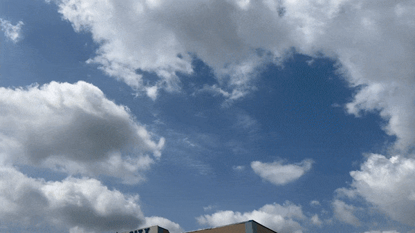 Springbok Feeding Nexus